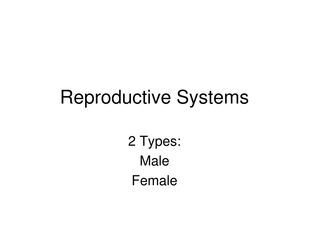 PPT - Reproductive Systems PowerPoint Presentation, free download - ID ...