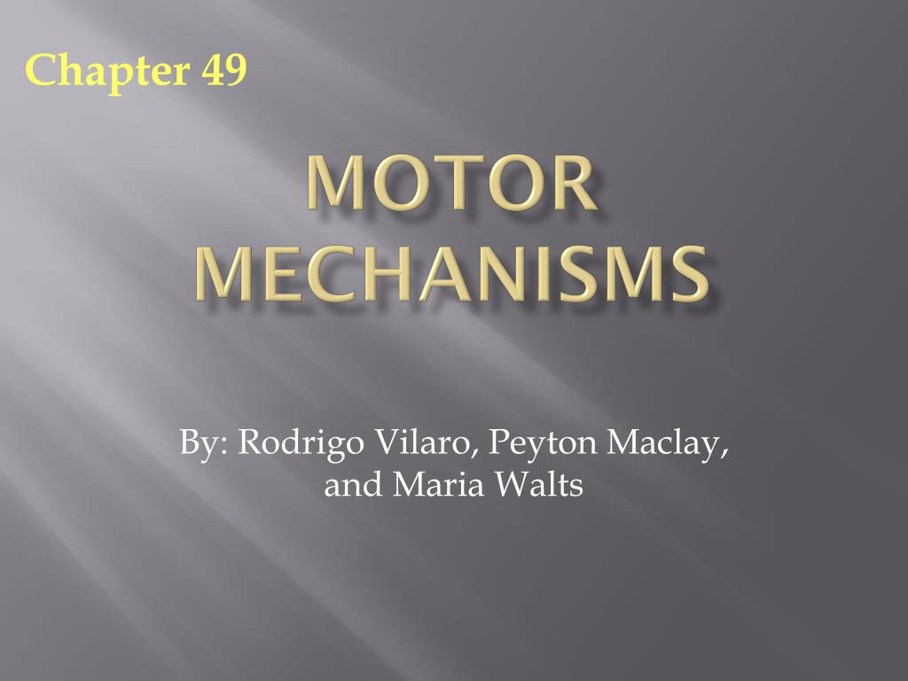 PPT - Motor Mechanisms PowerPoint Presentation, free download - ID:2052162