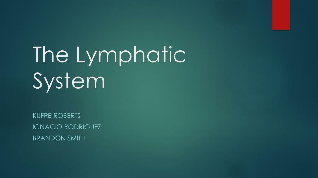 PPT - The Lymphatic System PowerPoint Presentation, free download - ID ...