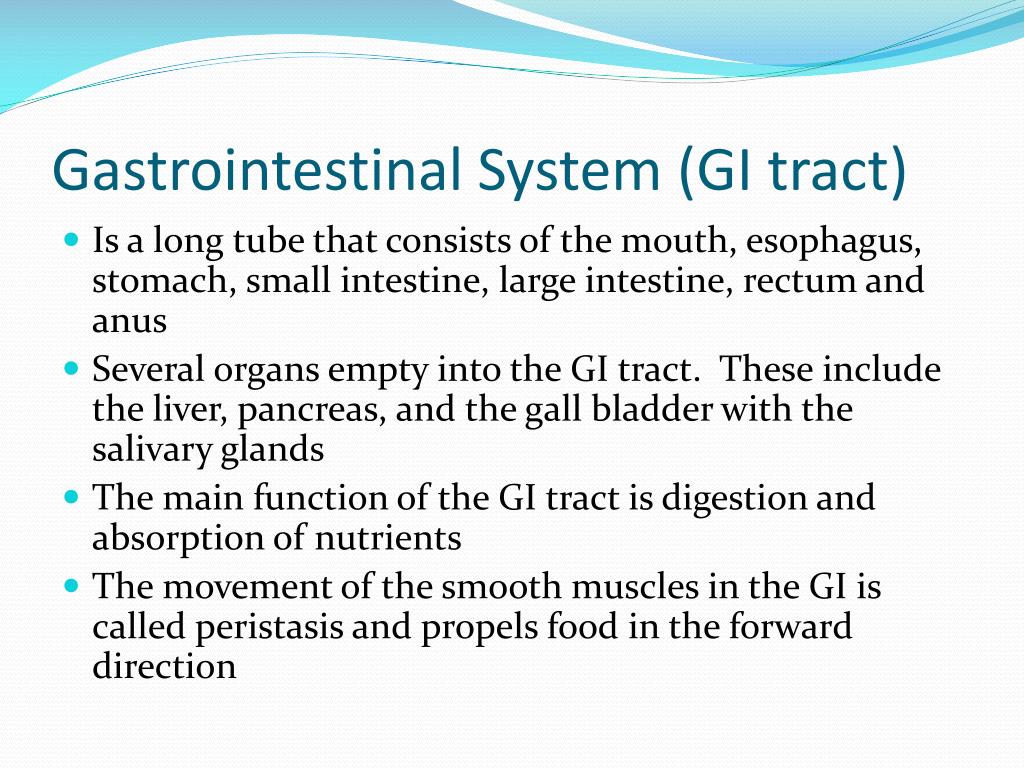 PPT - Gastrointestinal System (GI tract) PowerPoint Presentation, free ...
