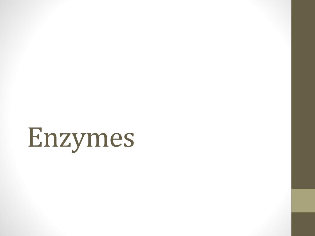 PPT - Enzymes PowerPoint Presentation, free download - ID:2053677