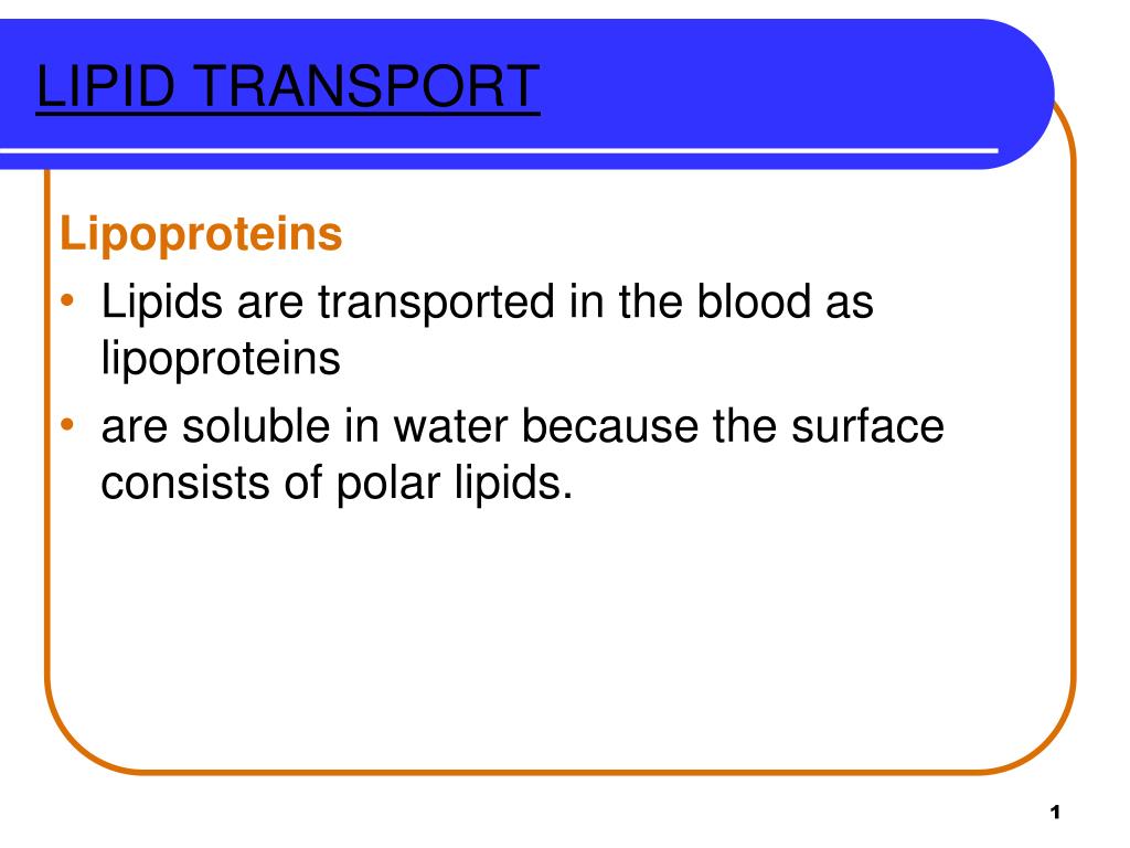 PPT - LIPID TRANSPORT PowerPoint Presentation, free download - ID:2053680