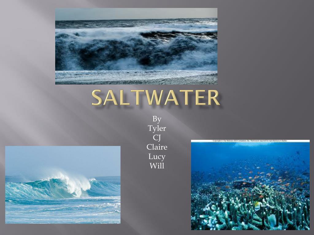 PPT - Saltwater PowerPoint Presentation, free download - ID:2054581