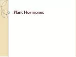 PPT - Plant Hormones PowerPoint Presentation, free download - ID:790627