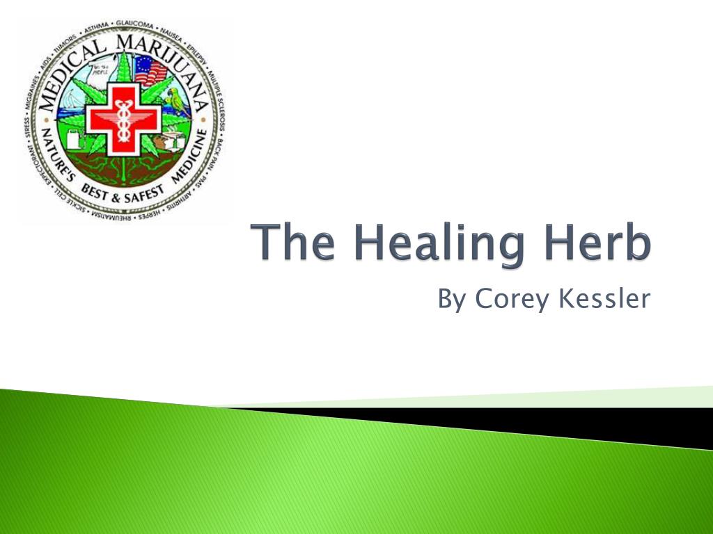 PPT - The Healing Herb PowerPoint Presentation, free download - ID:2059865