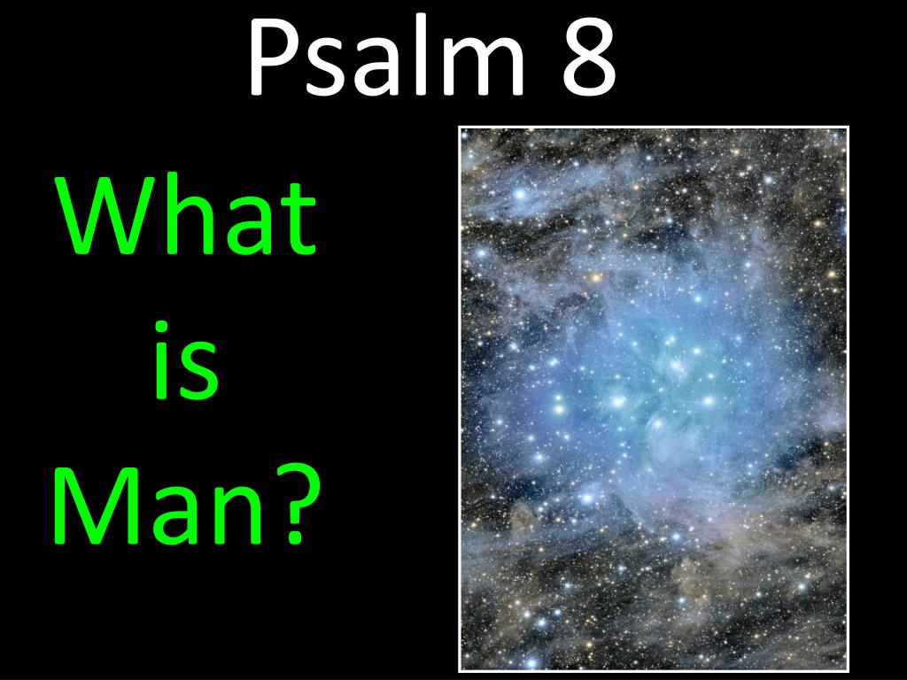 PPT - Psalm 8 PowerPoint Presentation, free download - ID:2060586