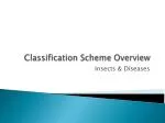 PPT - Local Government Classification Scheme v1 PowerPoint Presentation ...