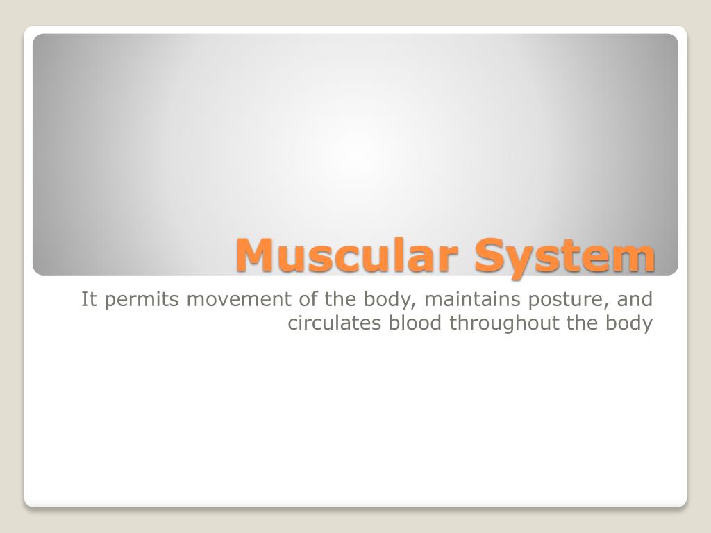 PPT - Exploring the Muscular System: Functions and Components ...