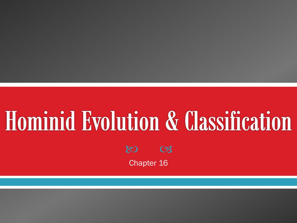 PPT - Hominid Evolution & Classification PowerPoint Presentation - ID:2062051