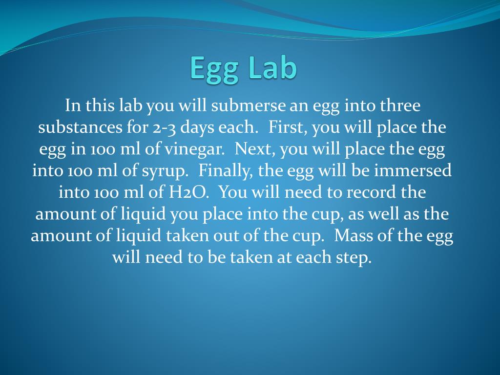 PPT - Egg Lab PowerPoint Presentation, free download - ID:2062333