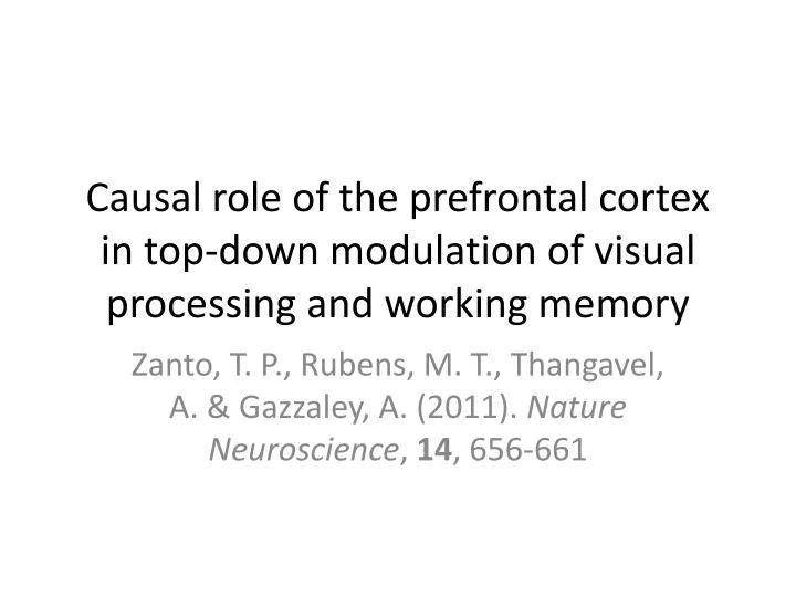 PPT - The Prefrontal Cortex in Top-Down Visual Modulation and Memory PowerPoint Presentation ...