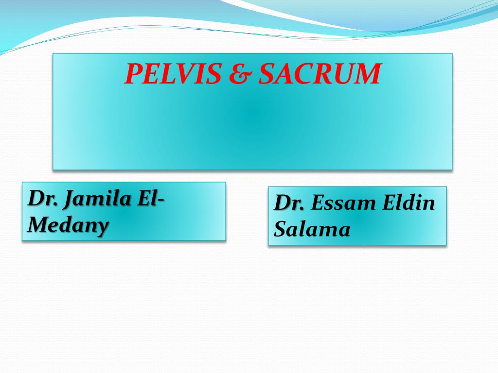 PPT - PELVIS & SACRUM PowerPoint Presentation, free download - ID:2063088