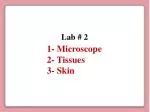 PPT - BIO130 Lab 1 Exercise 3 The Microscope PowerPoint Presentation ...