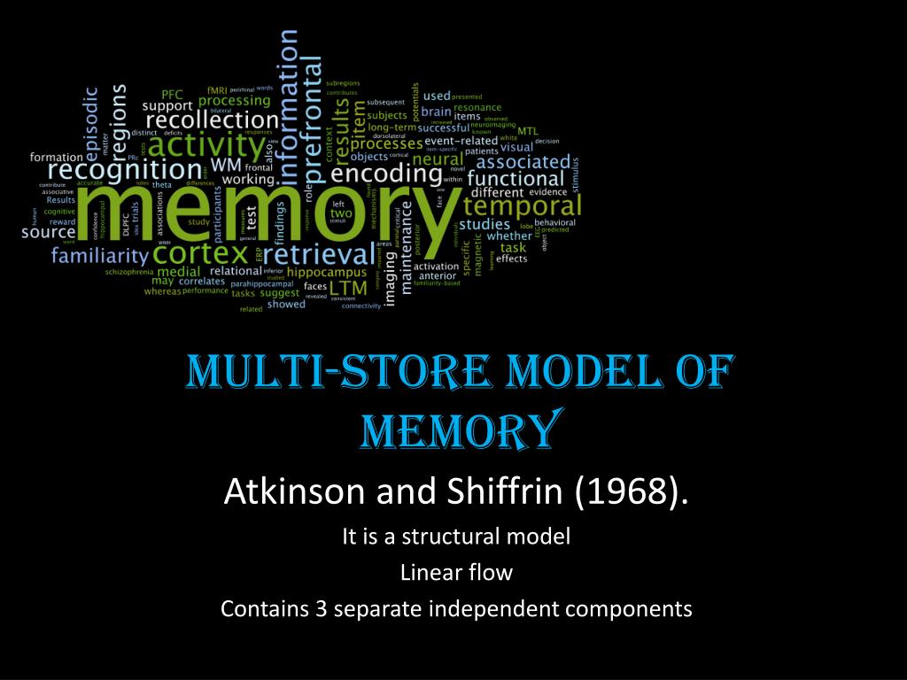 PPT - Multi-store model of memory PowerPoint Presentation, free ...