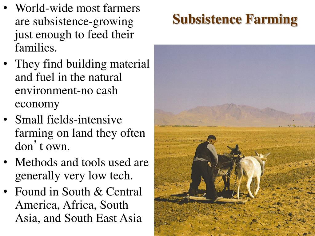 PPT - Subsistence Farming PowerPoint Presentation, free download - ID ...