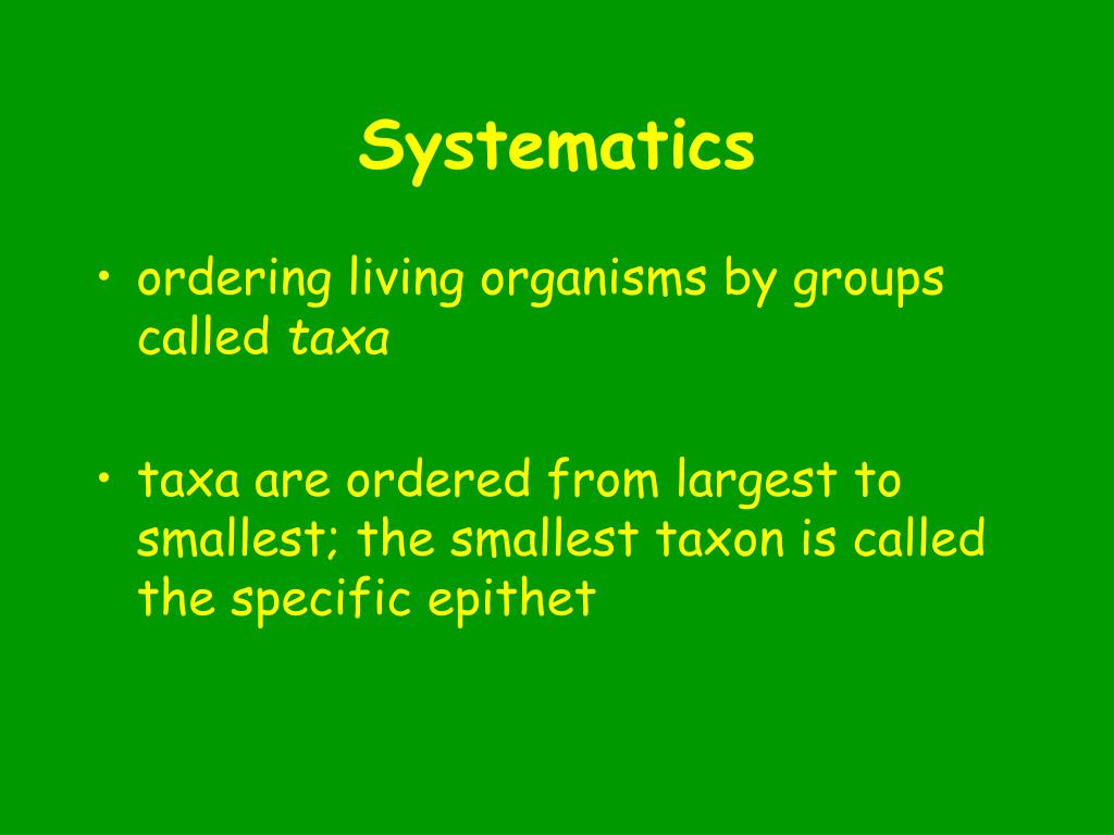 PPT - Systematics PowerPoint Presentation, free download - ID:2064511