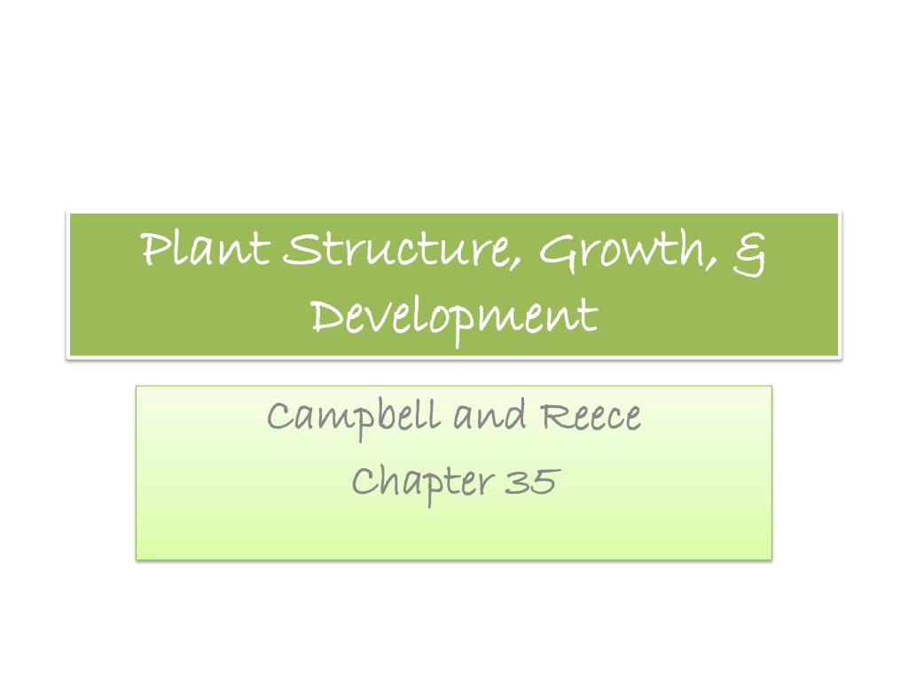 PPT - Plant Structure, Growth, & Development PowerPoint Presentation ...