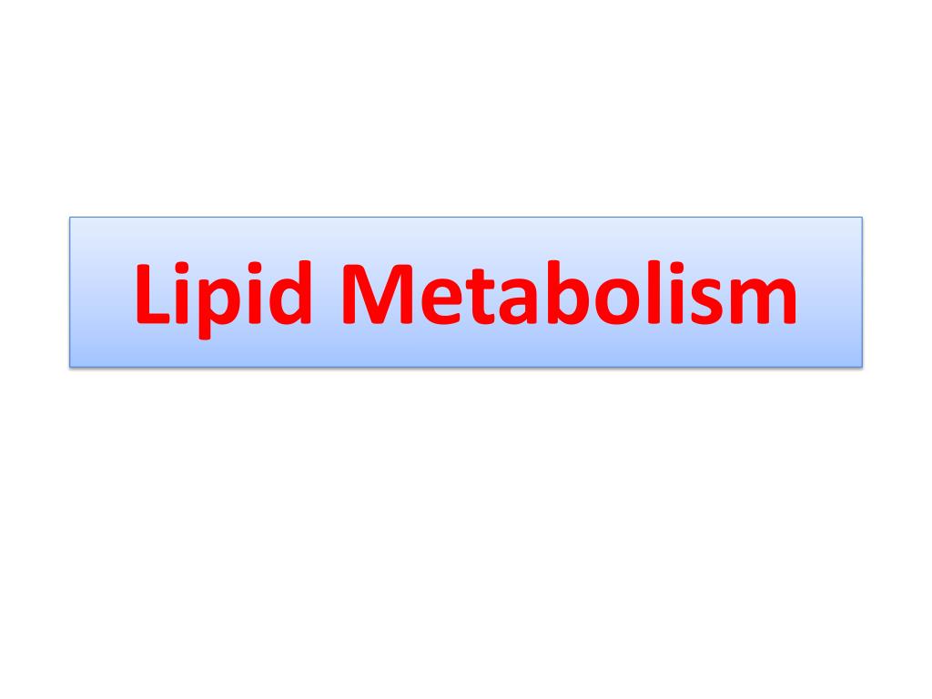 PPT - Lipid Metabolism PowerPoint Presentation, free download - ID:2064911