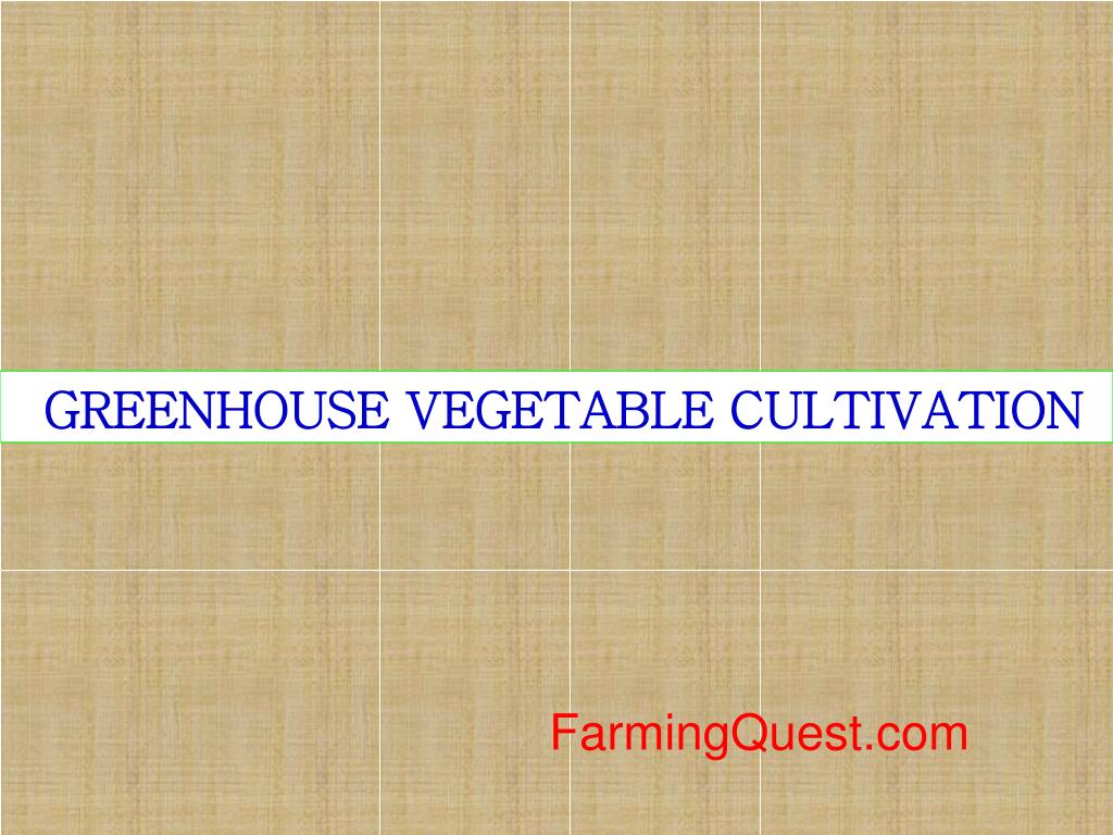 PPT - GREENHOUSE VEGETABLE CULTIVATION PowerPoint Presentation, free ...