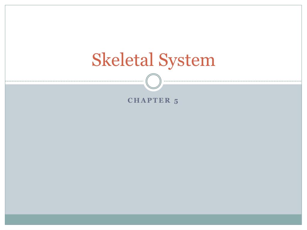 PPT - Skeletal System PowerPoint Presentation, free download - ID:2065241