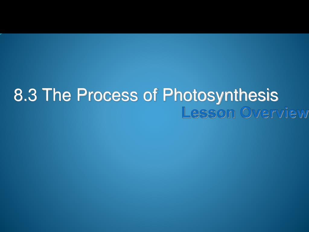 PPT - Lesson Overview PowerPoint Presentation, free download - ID:2065419