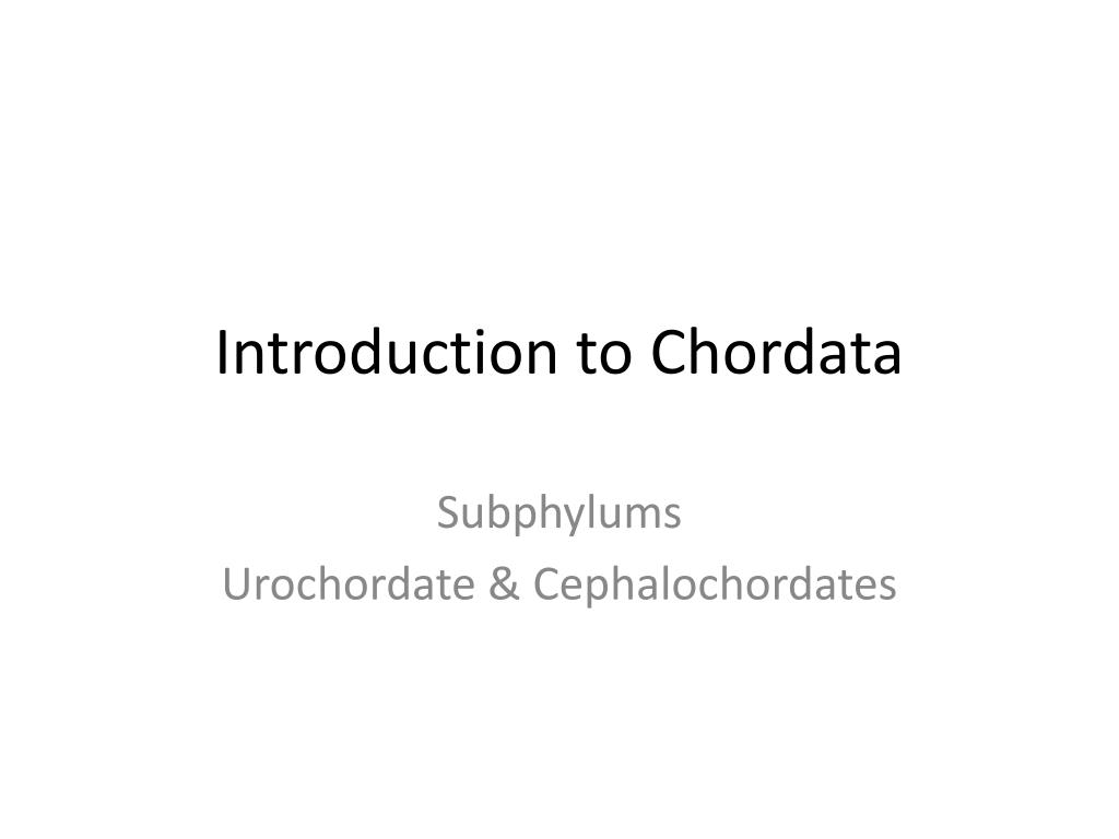 PPT - Introduction to Chordata PowerPoint Presentation, free download ...