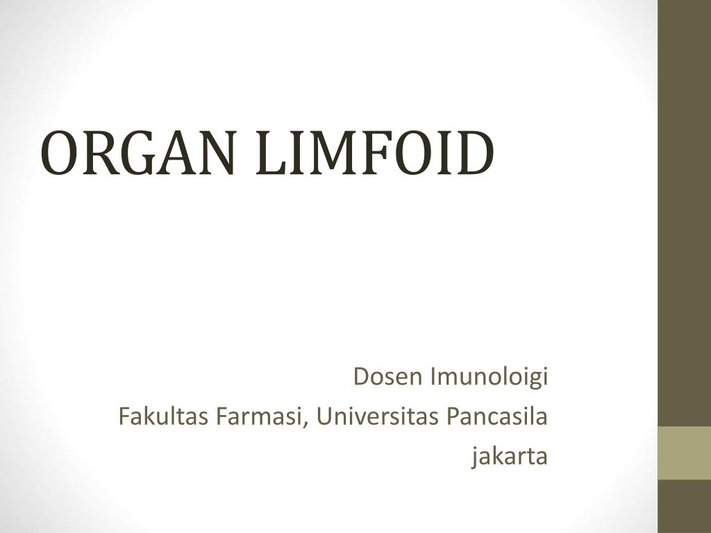 PPT - ORGAN LIMFOID PowerPoint Presentation, free download - ID:2066836