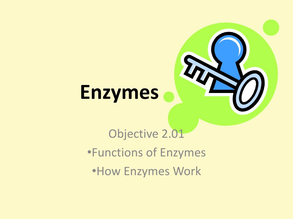 PPT - Enzymes PowerPoint Presentation, free download - ID:2066917