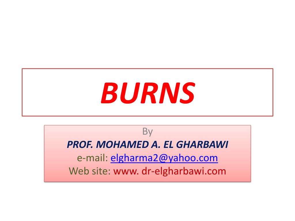PPT - BURNS PowerPoint Presentation, free download - ID:2067049