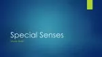 PPT - Special Senses PowerPoint Presentation, free download - ID:6059624