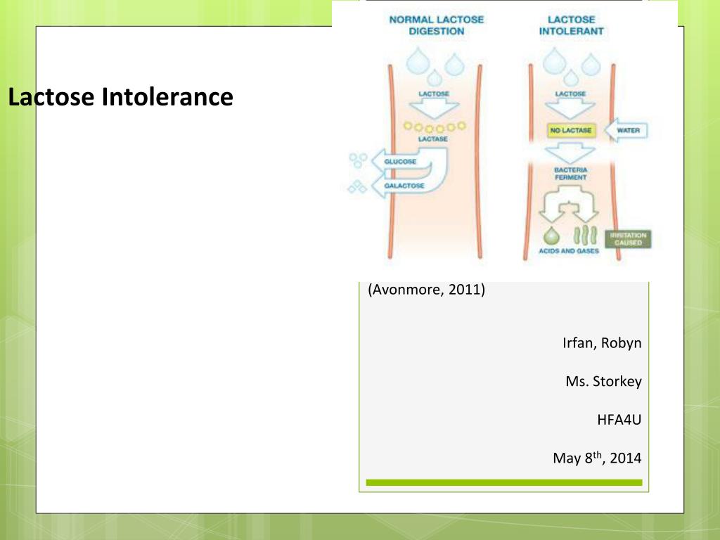 PPT - Lactose Intolerance PowerPoint Presentation, free download - ID ...
