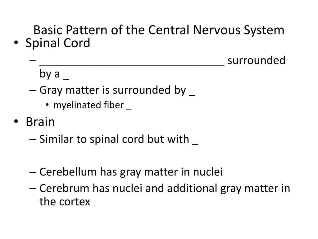 PPT - Basic Pattern of the Central Nervous System PowerPoint ...