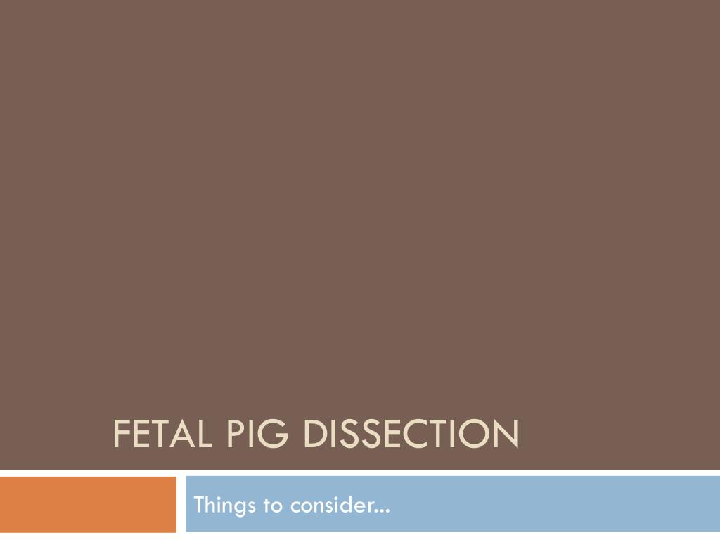 PPT - Fetal Pig Dissection PowerPoint Presentation, free download - ID ...