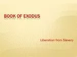 PPT - The Book of Exodus PowerPoint Presentation, free download - ID ...