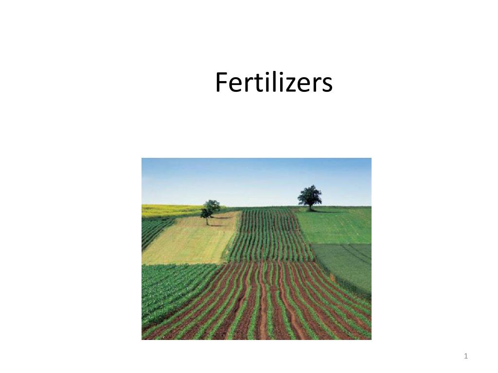 PPT - Fertilizers PowerPoint Presentation, free download - ID:2068078