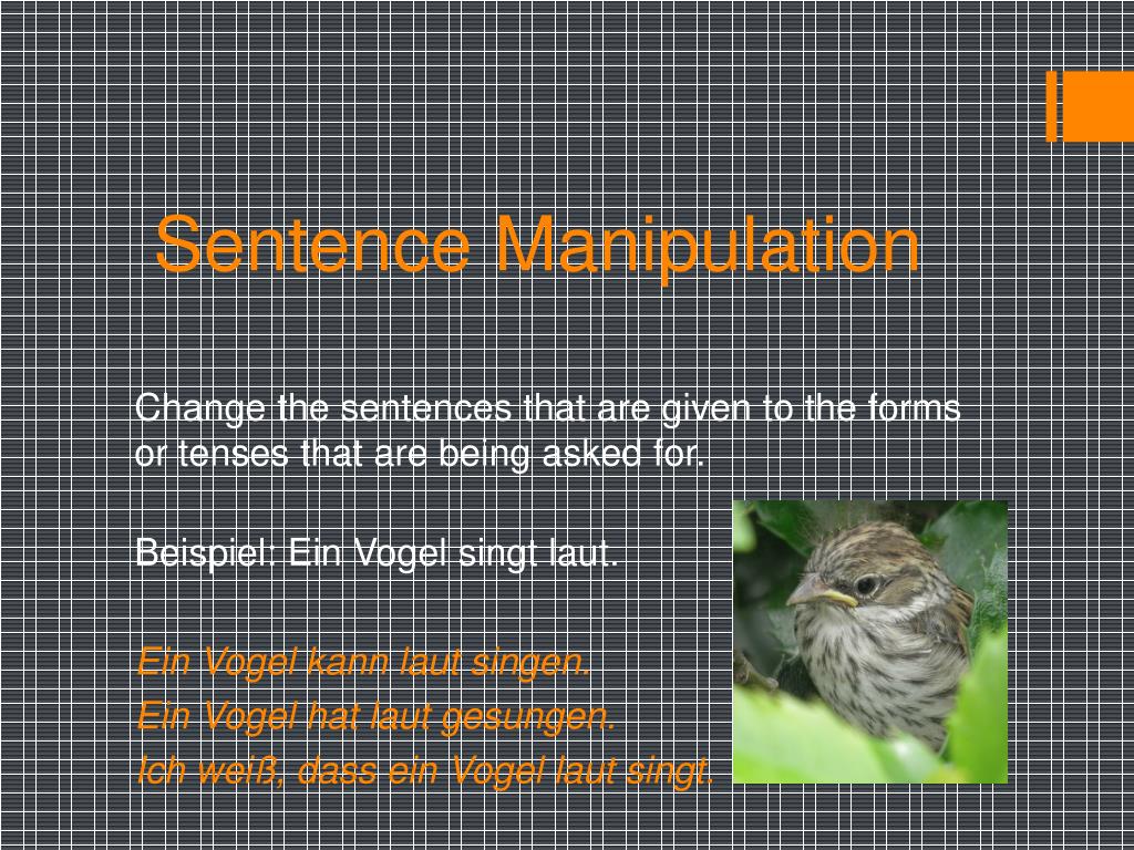 PPT - Sentence Manipulation PowerPoint Presentation, free download - ID ...
