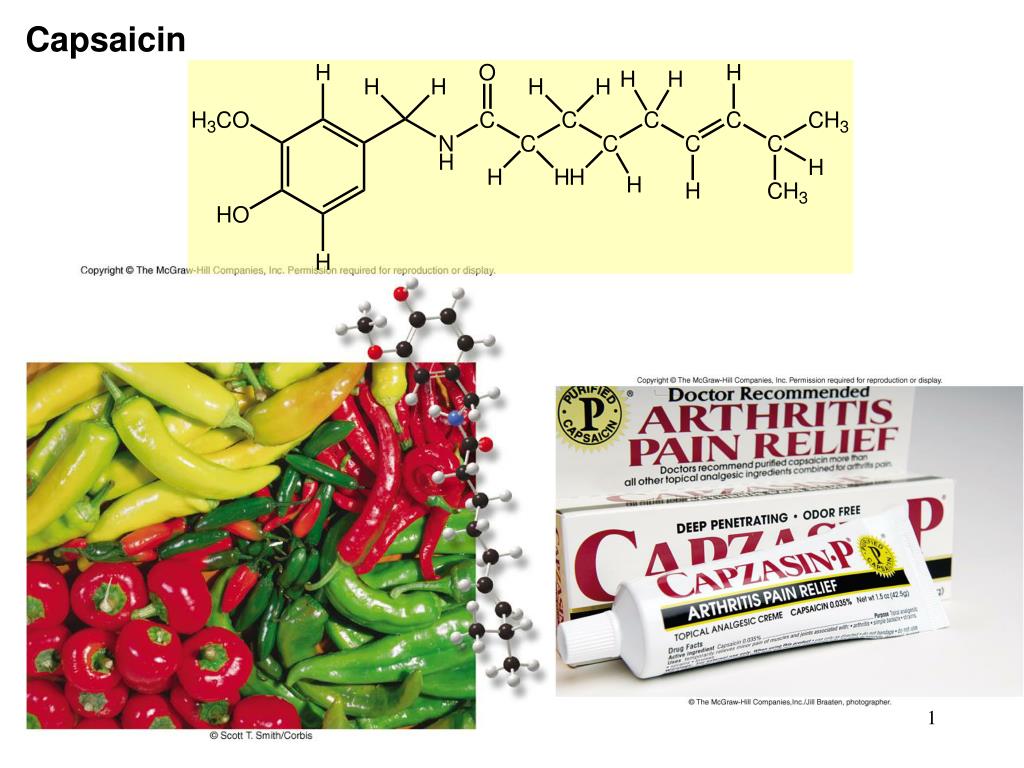 PPT - Capsaicin PowerPoint Presentation, free download - ID:2069045