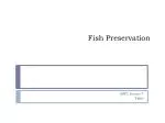 PPT - FISH PROCESSING AND PRESERVATION 3(2-1) PowerPoint Presentation ...