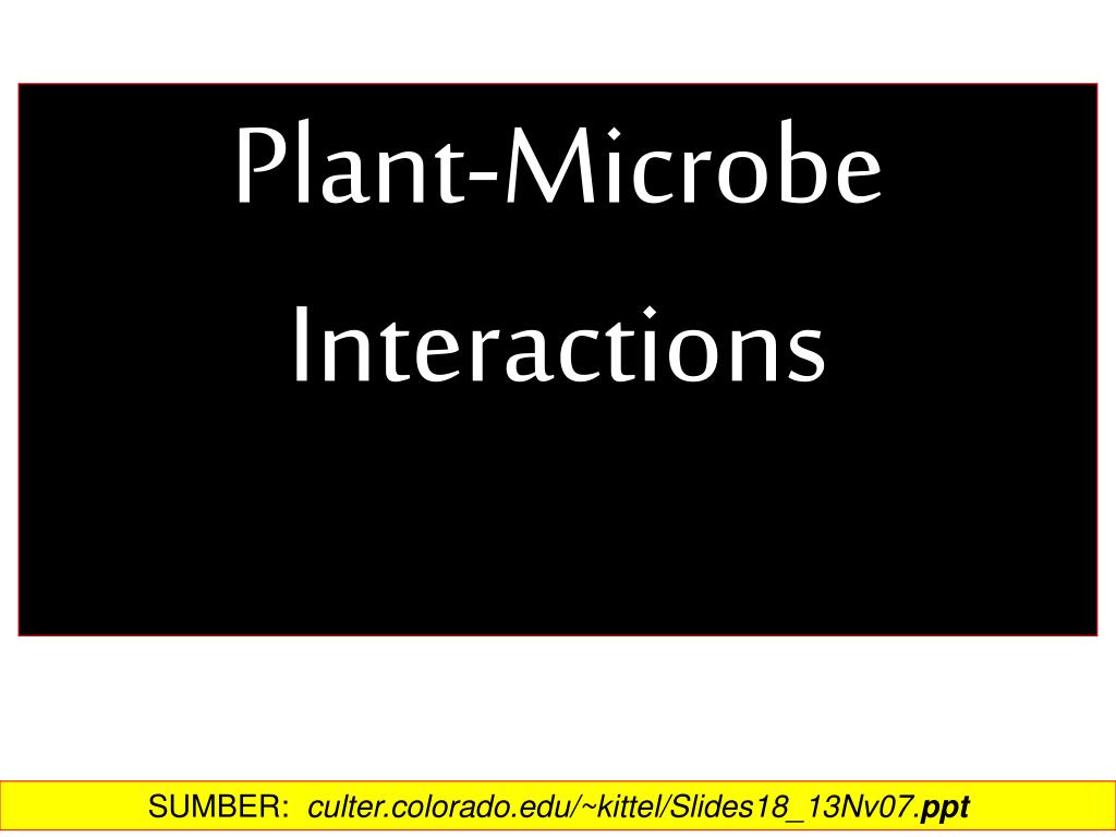 PPT - Plant-Microbe Interactions PowerPoint Presentation, free download ...