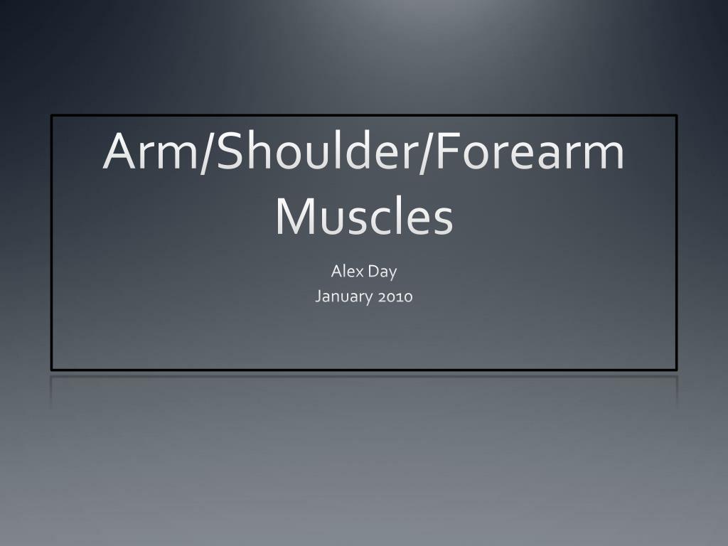 PPT - Arm/Shoulder/Forearm Muscles PowerPoint Presentation, free ...