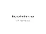 PPT - Endocrine Physiology PANCREAS PowerPoint Presentation, free ...