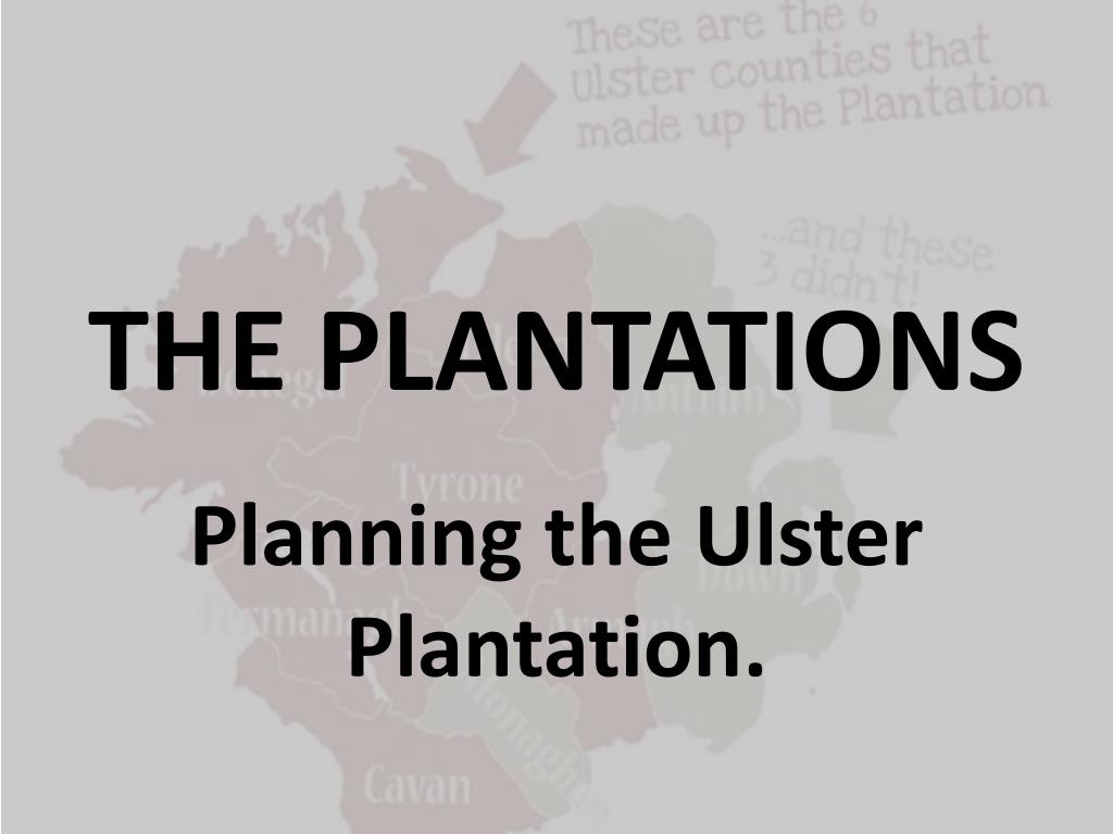 PPT - THE PLANTATIONS PowerPoint Presentation, free download - ID:2075290