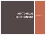 PPT - Medical Terminology Anatomical Position, Directional Terms and ...