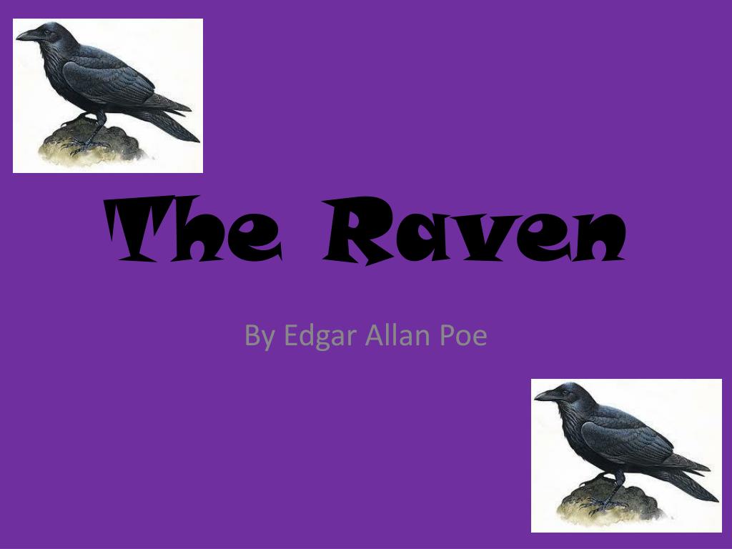 PPT - The Raven PowerPoint Presentation, free download - ID:2077056