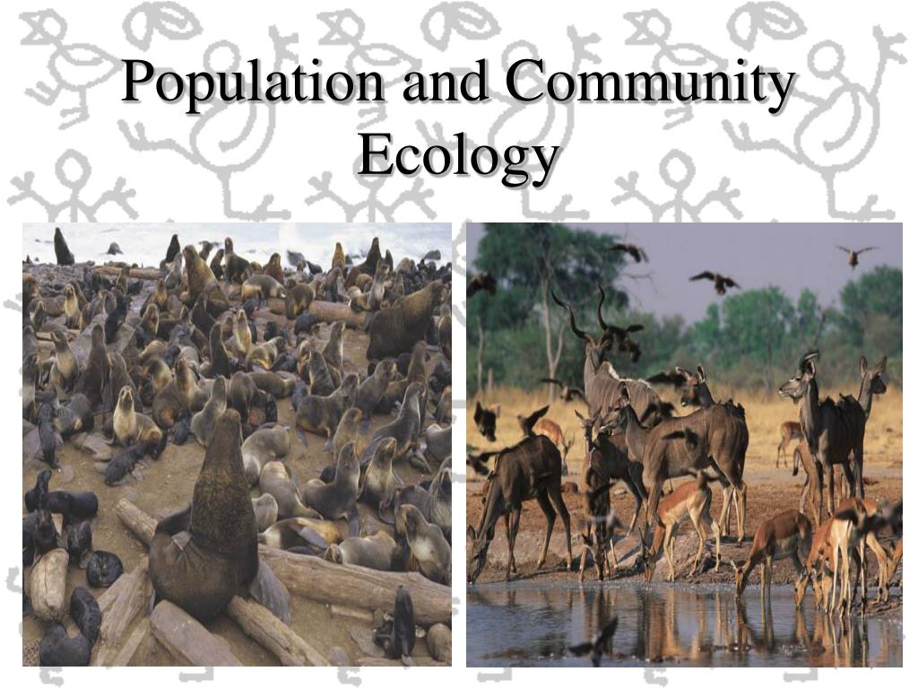 PPT - Population and Community Ecology PowerPoint Presentation, free ...
