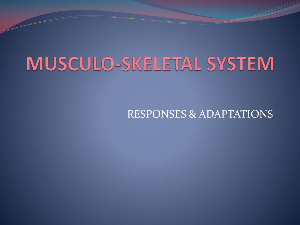 PPT - MUSCULO-SKELETAL SYSTEM PowerPoint Presentation, free download ...