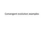 PPT - Convergent Evolution PowerPoint Presentation, free download - ID ...