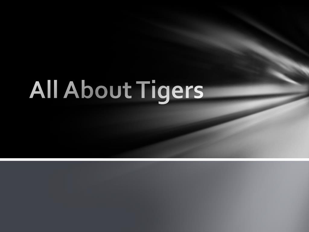 PPT - All About Tigers PowerPoint Presentation, free download - ID:2079170