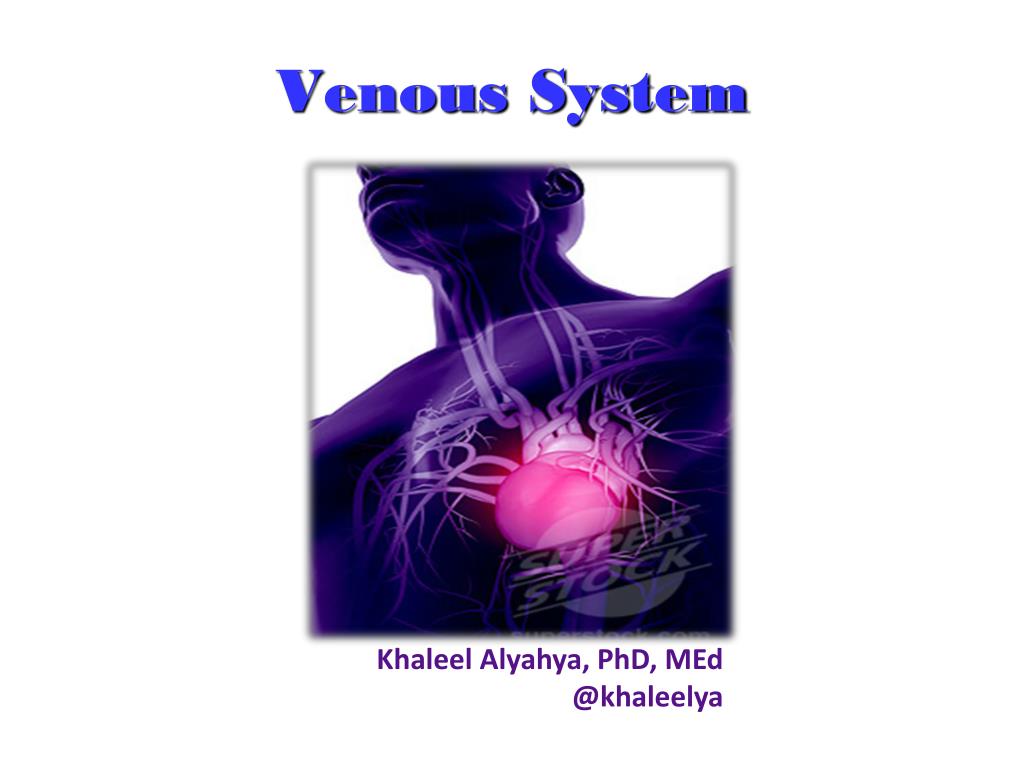 PPT - Venous System PowerPoint Presentation, free download - ID:2080082