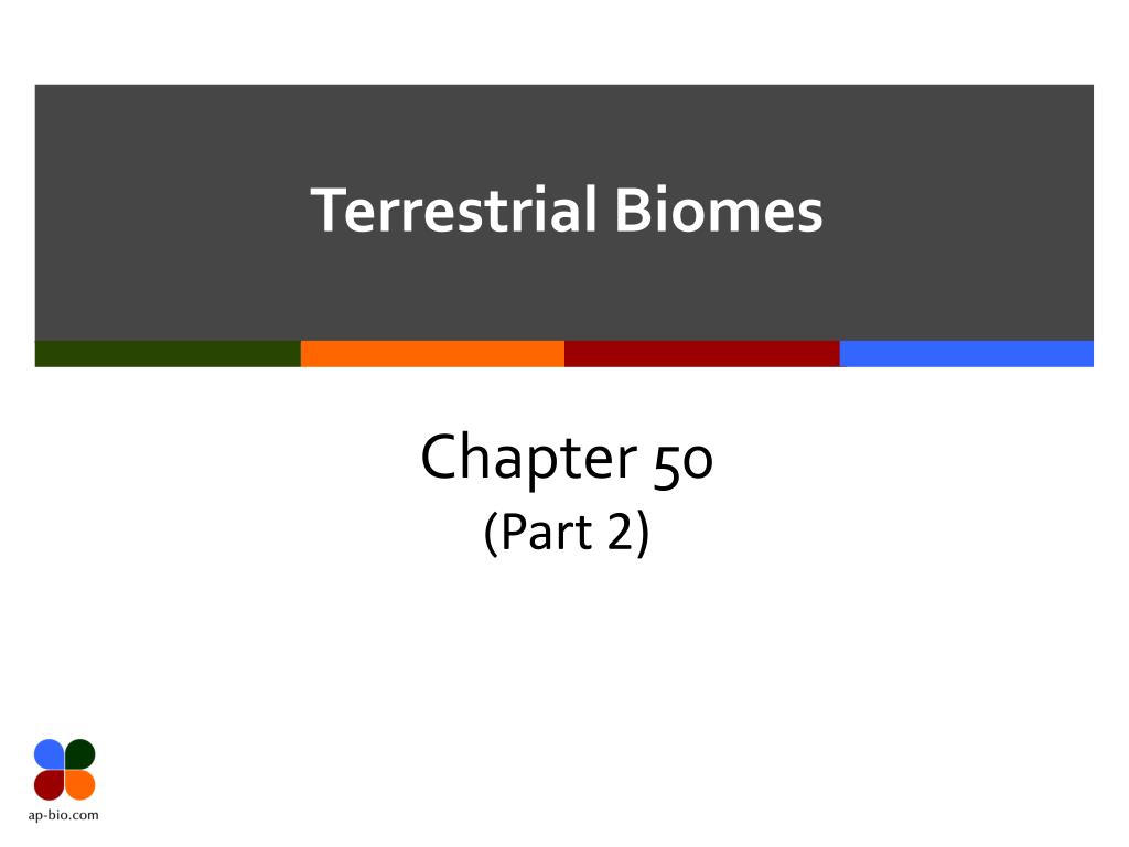 PPT - Terrestrial Biomes PowerPoint Presentation, free download - ID ...